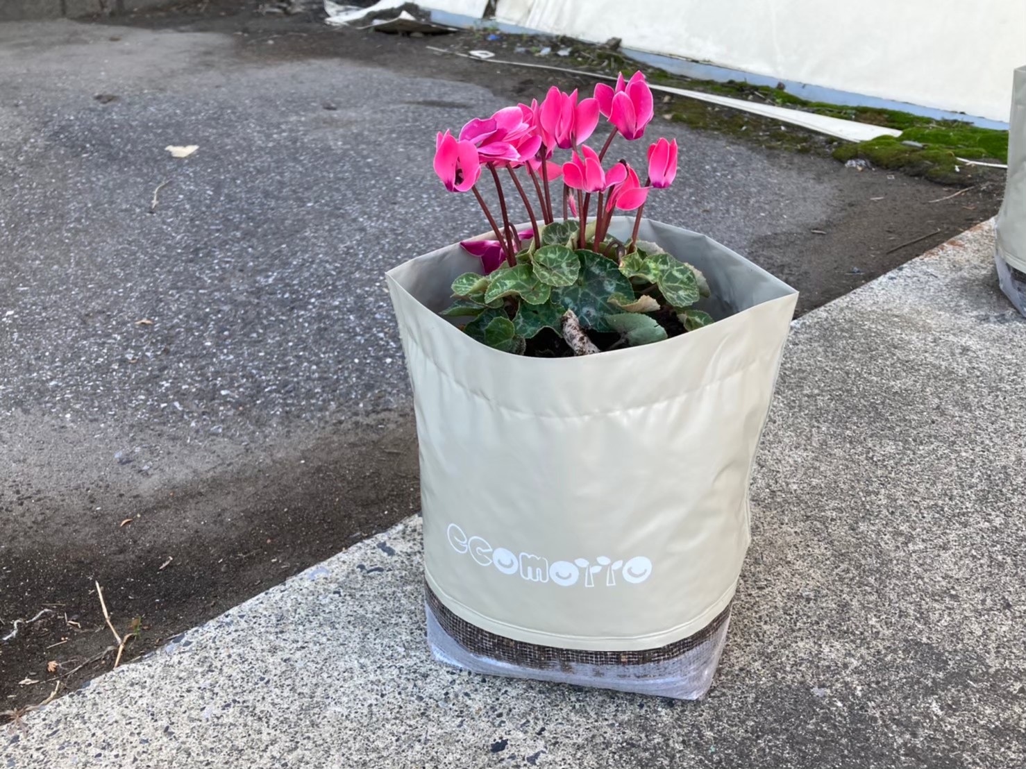 ギャラリー - Lightning × ExUnit 日本語デモ